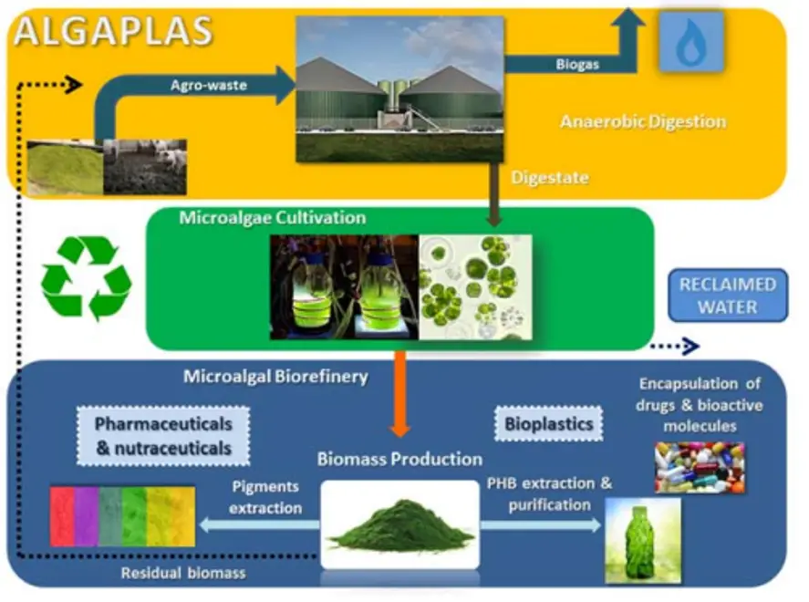 ALGAPLAS – Microalgae based Digestate Valorization towards Sustainable ...